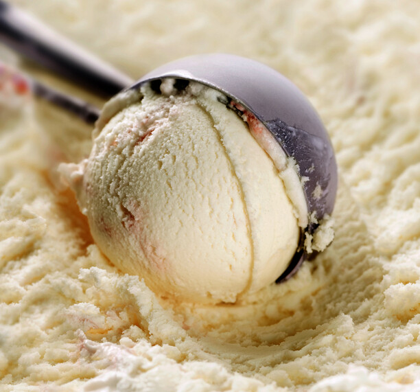 Wesley Chapel Hosts Ice Cream Social – The Holden Image